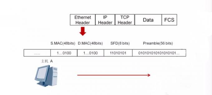 Intelligent Packet Forwarding Data Distribution Network Packet Brokers ...