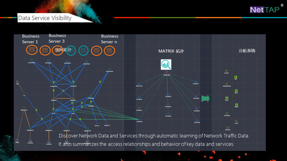 Nettap® Matrix Netinsight™ Network Traffic Data Visibility Of Data Service Visibility